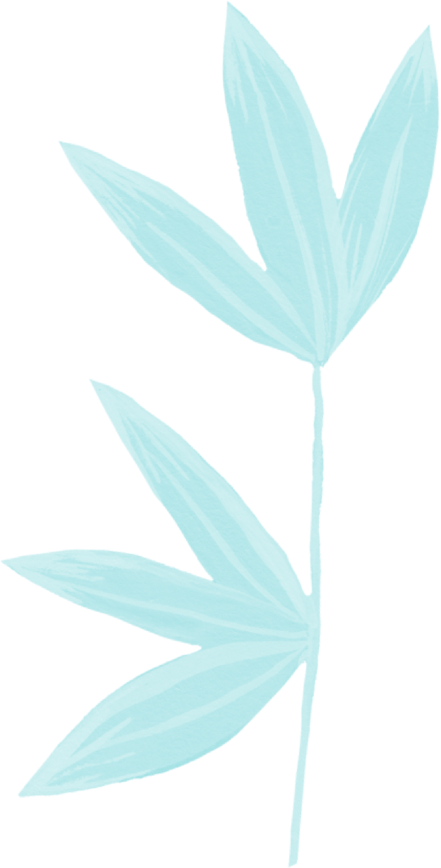 The Hummingbird Centre - Psychology Services Newcastle